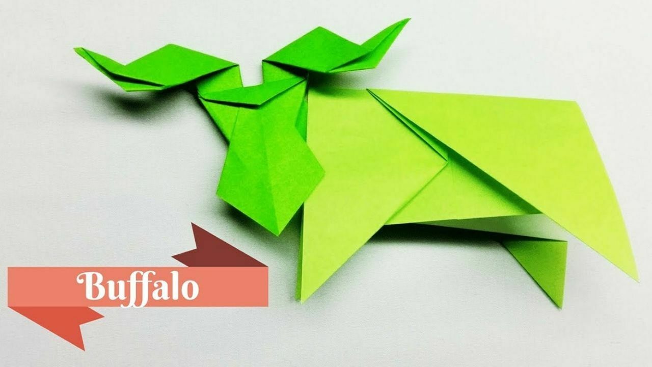 Mengenal Kertas Buffalo Dan Tips Membelinya